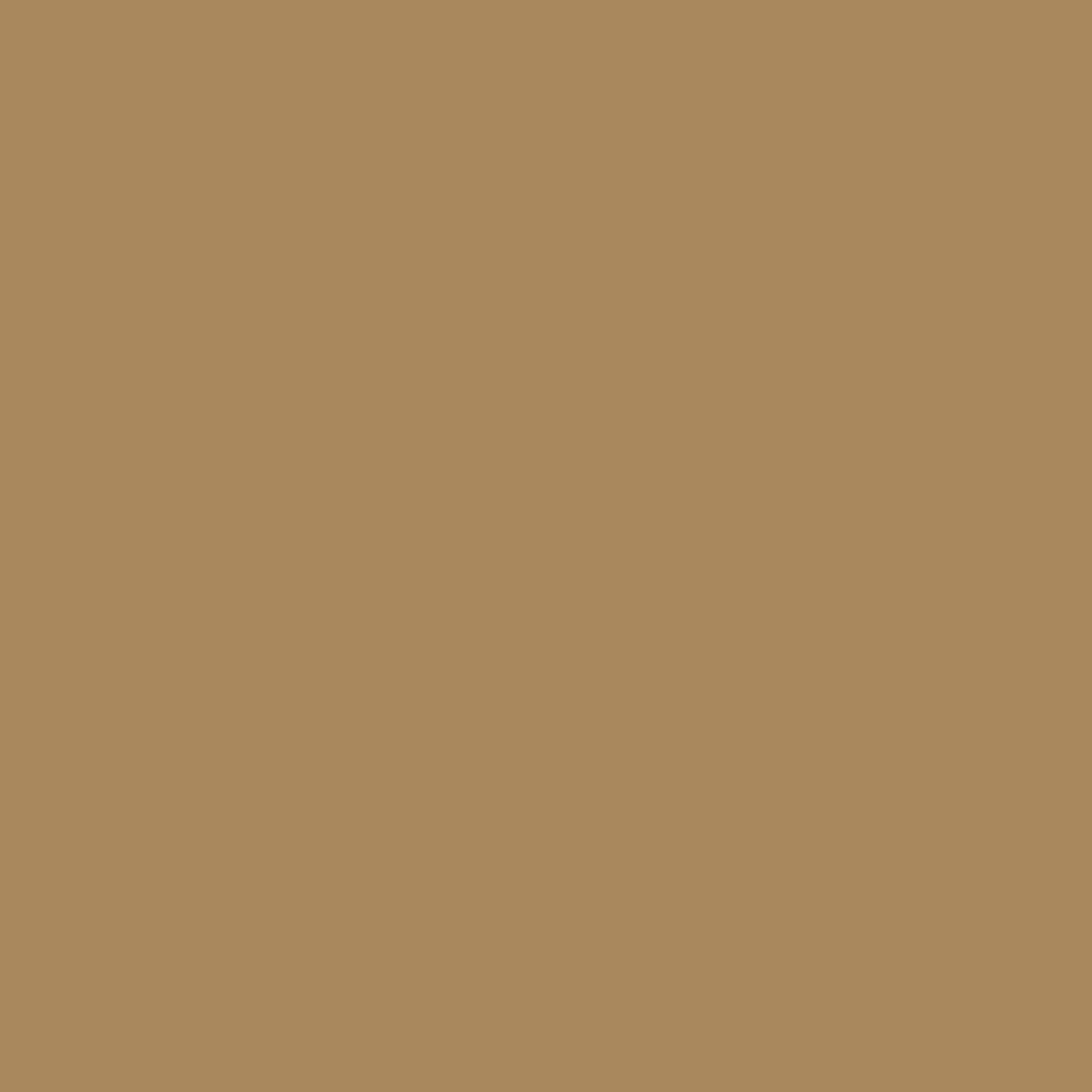 Light Brown Permanent 12x24 - Oracal 651 | craft & vinyl studio